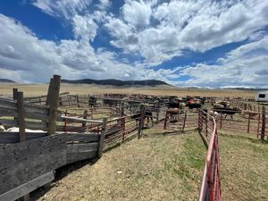 Bar D Ranch Owners Association